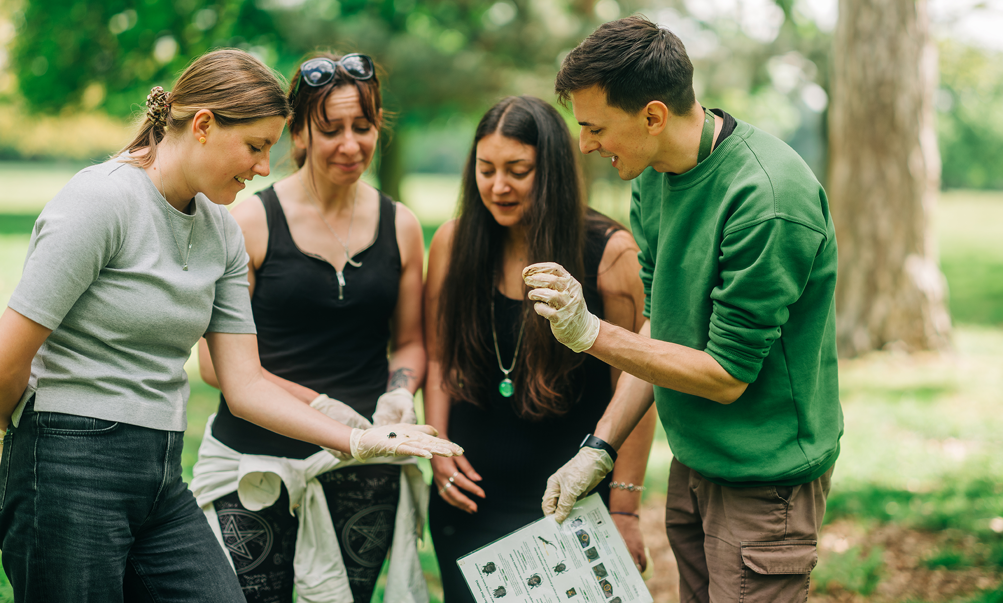 Ecological Surveys